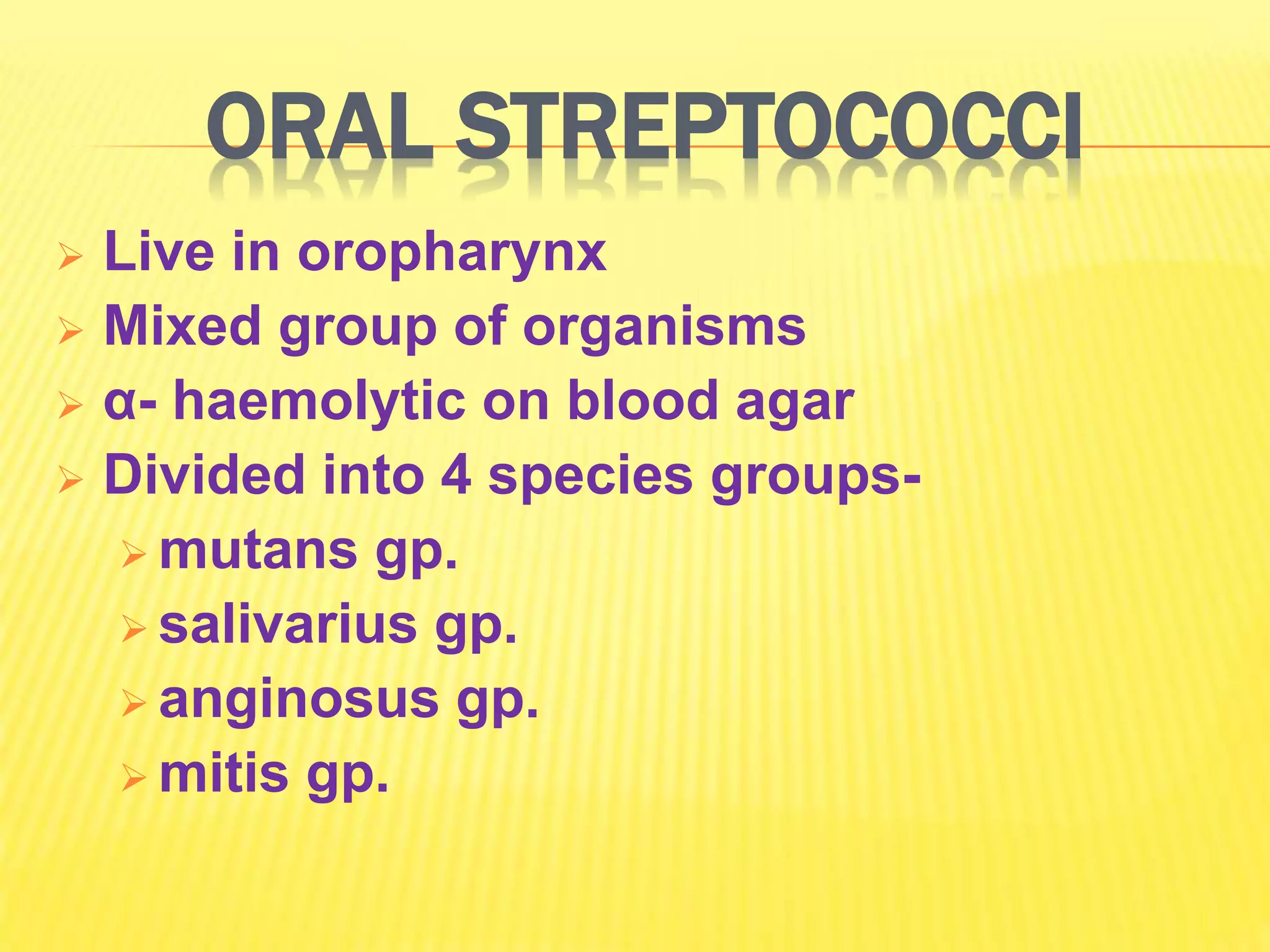 Streptococcus | PPTX