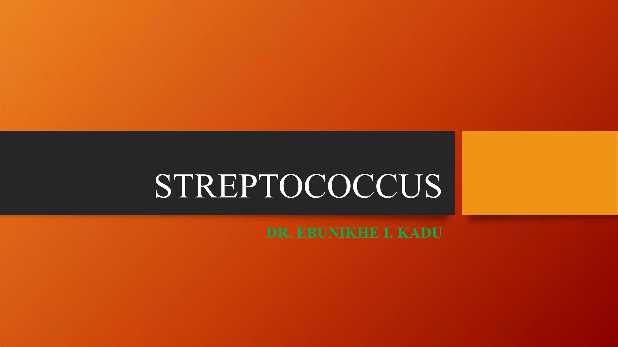 Streptococcus | PPT