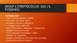 Streptococcus | PPTX