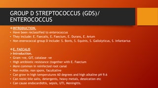 Streptococcus | PPTX
