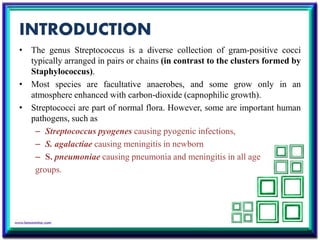 Streptococcus | PPTX
