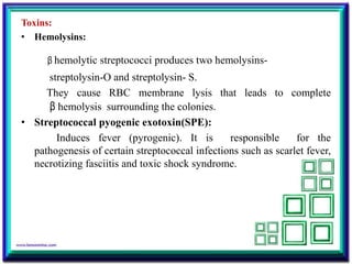 Streptococcus | PPTX