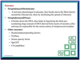 Streptococcus | PPTX