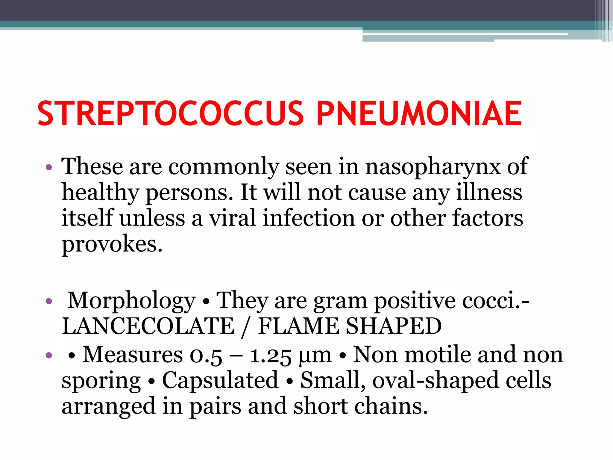 STREPTOCOCCUS.pptx