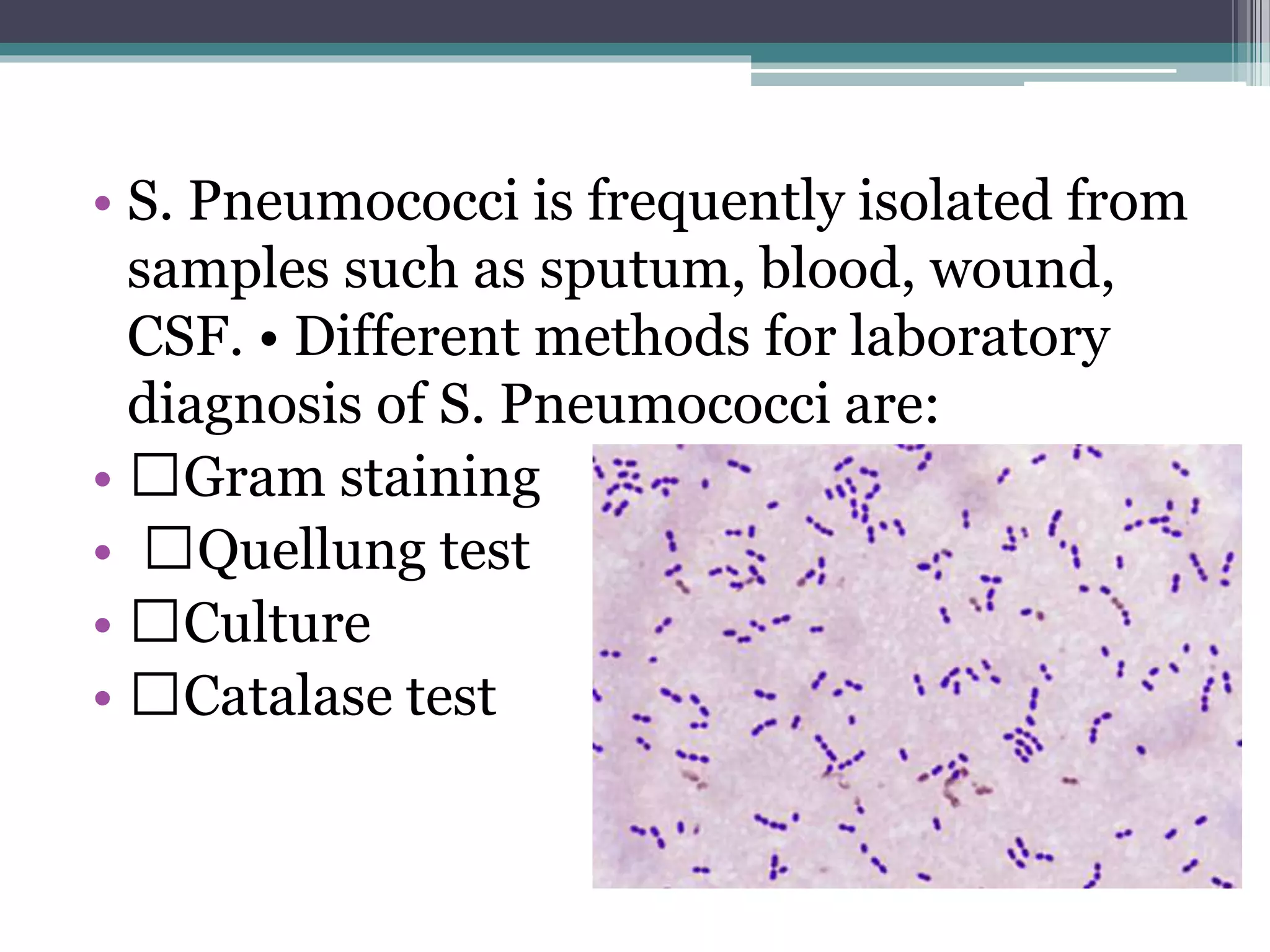 STREPTOCOCCUS.pptx