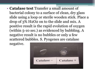STREPTOCOCCUS.pptx