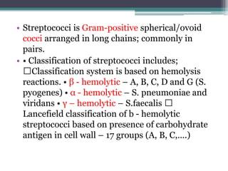 STREPTOCOCCUS.pptx