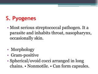 STREPTOCOCCUS.pptx