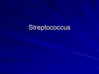 Streptococcus | PPT