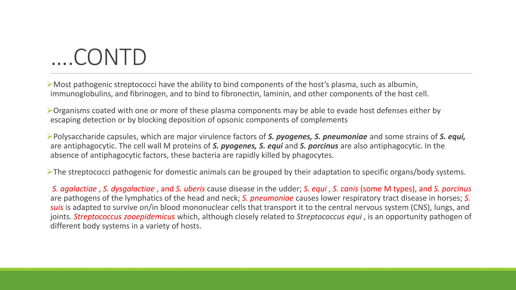 Introduction to streptococcus and a brief review on its species | PPTX