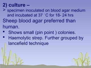 Comprehensive Overview of Streptococcus: Classification, Pathogenesis ...
