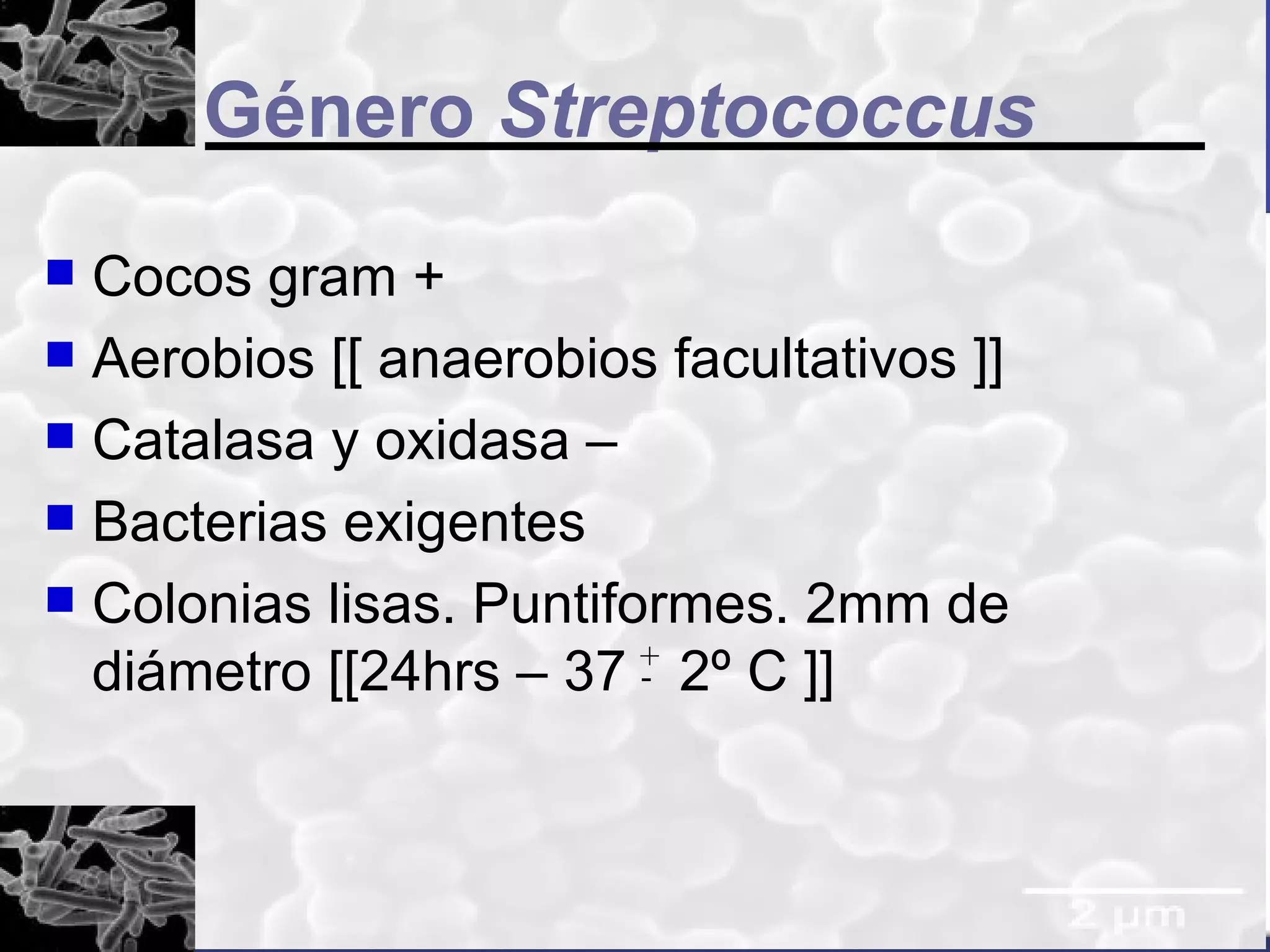 Streptococcus Agalactiae | PPT