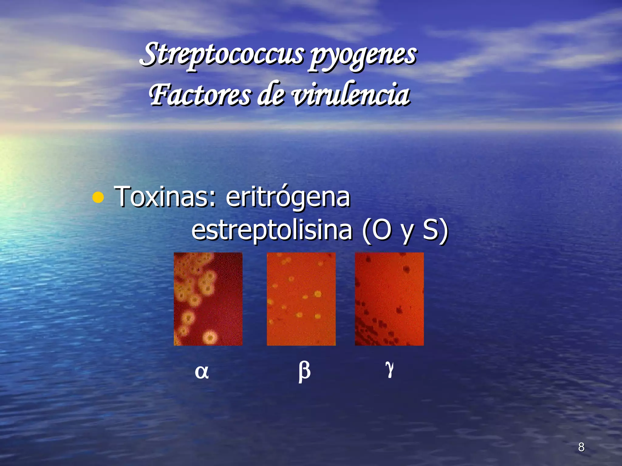 Streptococcus Pyogenes | PPT