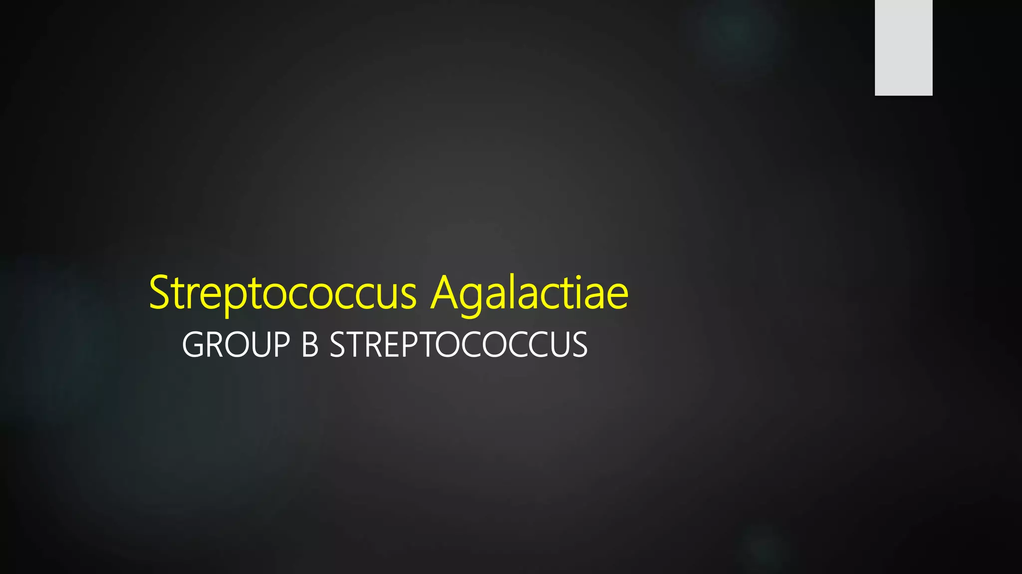Streptococcus Agalactiae Bacteria Microbiology Lecture | PPTX