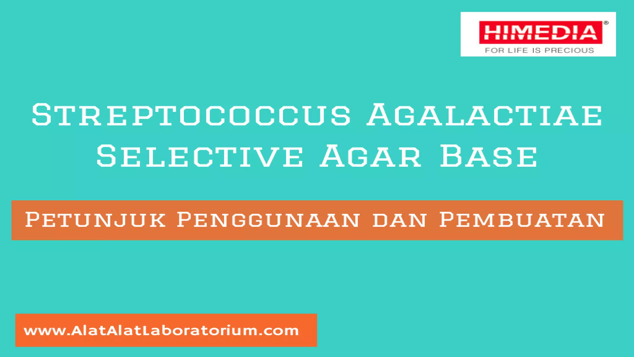 Streptococcus Agalactiae Selective Agar Base | PPT