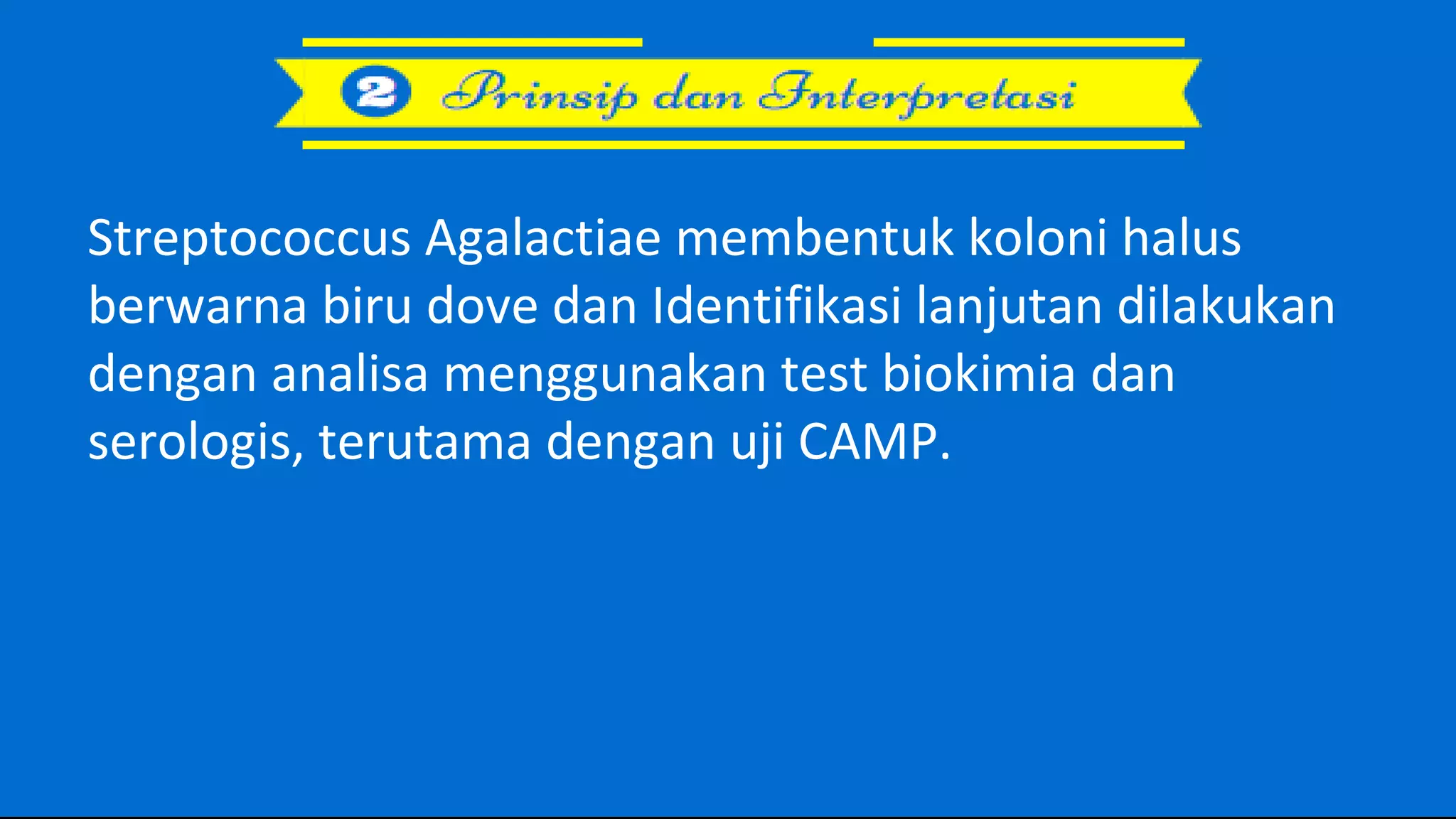 Streptococcus Agalactiae Selective Agar Base | PPT