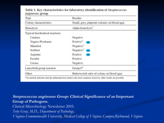 Streptococcus constellatus | PPT