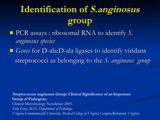 Streptococcus constellatus | PPT