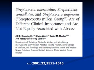 Streptococcus constellatus | PPT