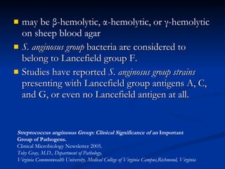 Streptococcus constellatus | PPT