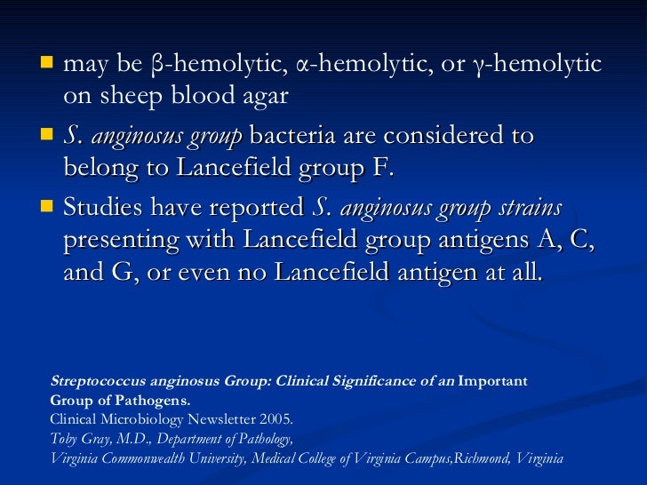 Streptococcus constellatus