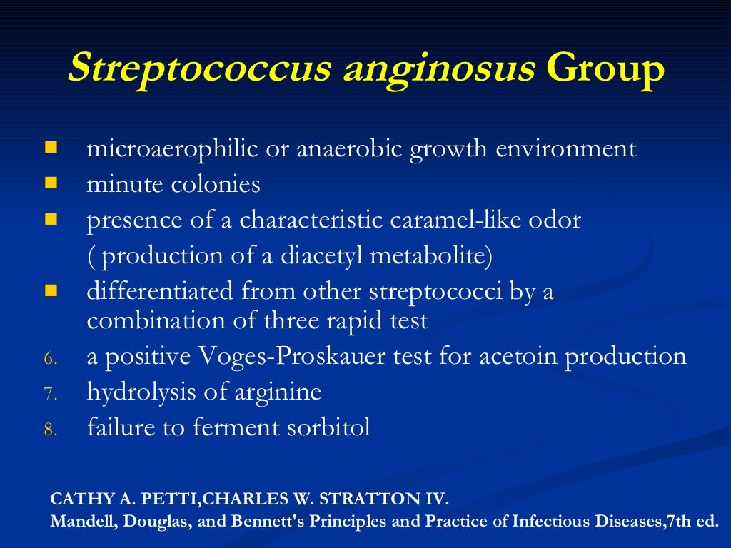 Streptococcus constellatus