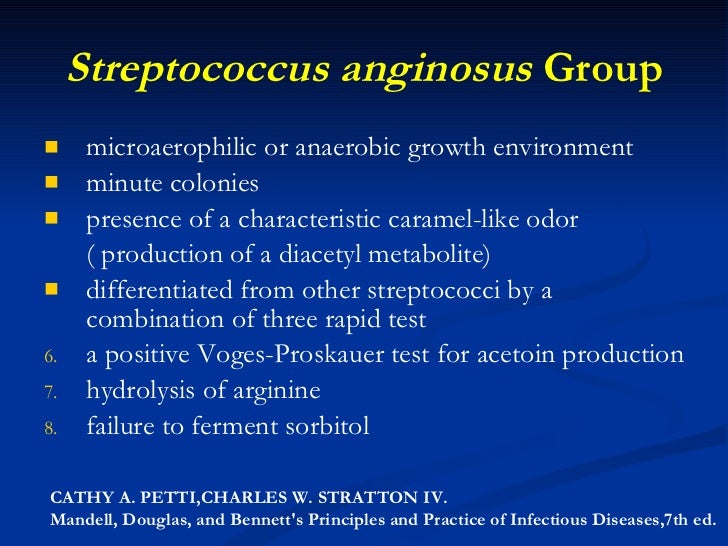 Streptococcus constellatus