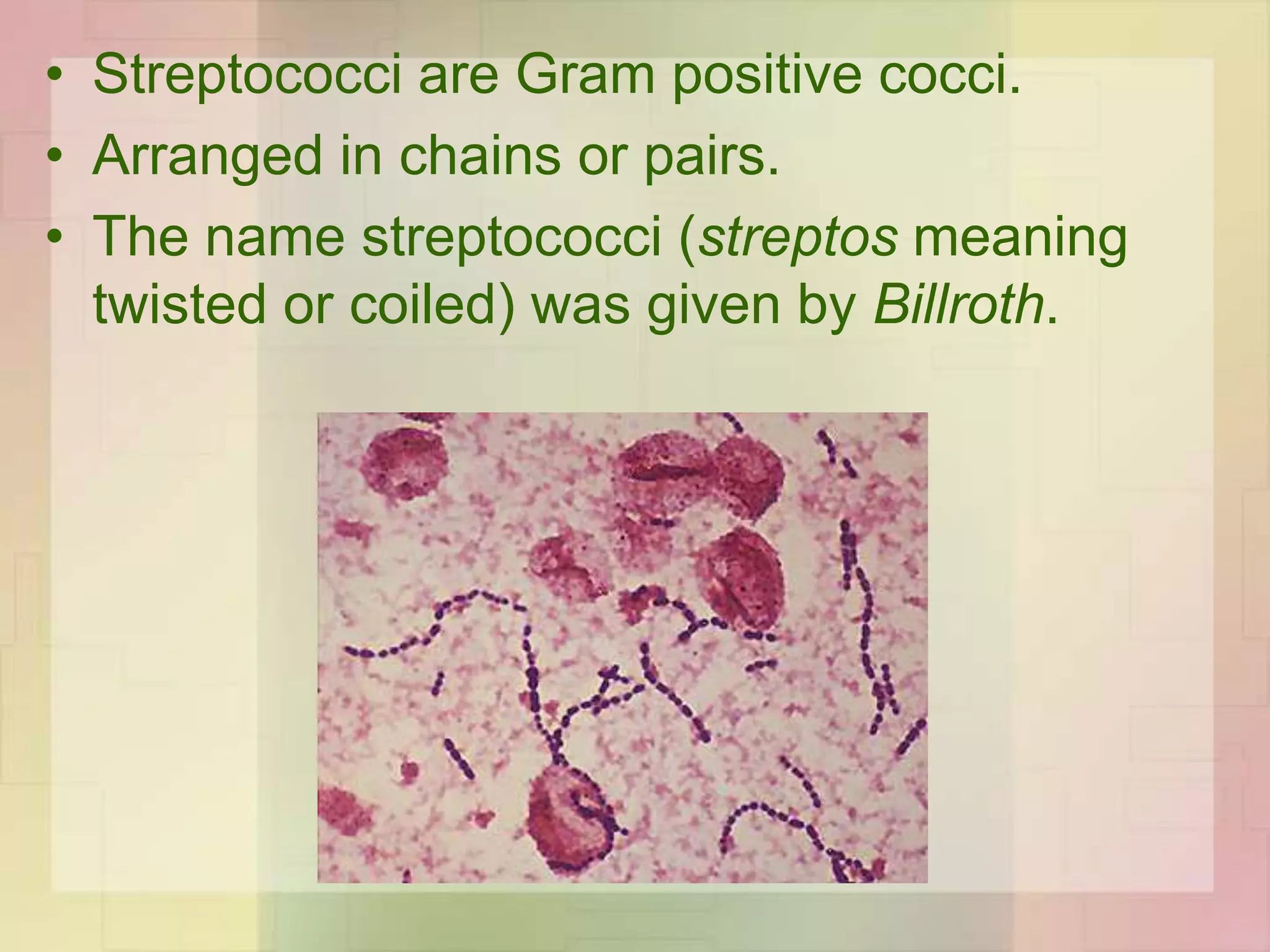 Streptococcus & Enterococcus by Dr. Rakesh Prasad Sah | PPTX