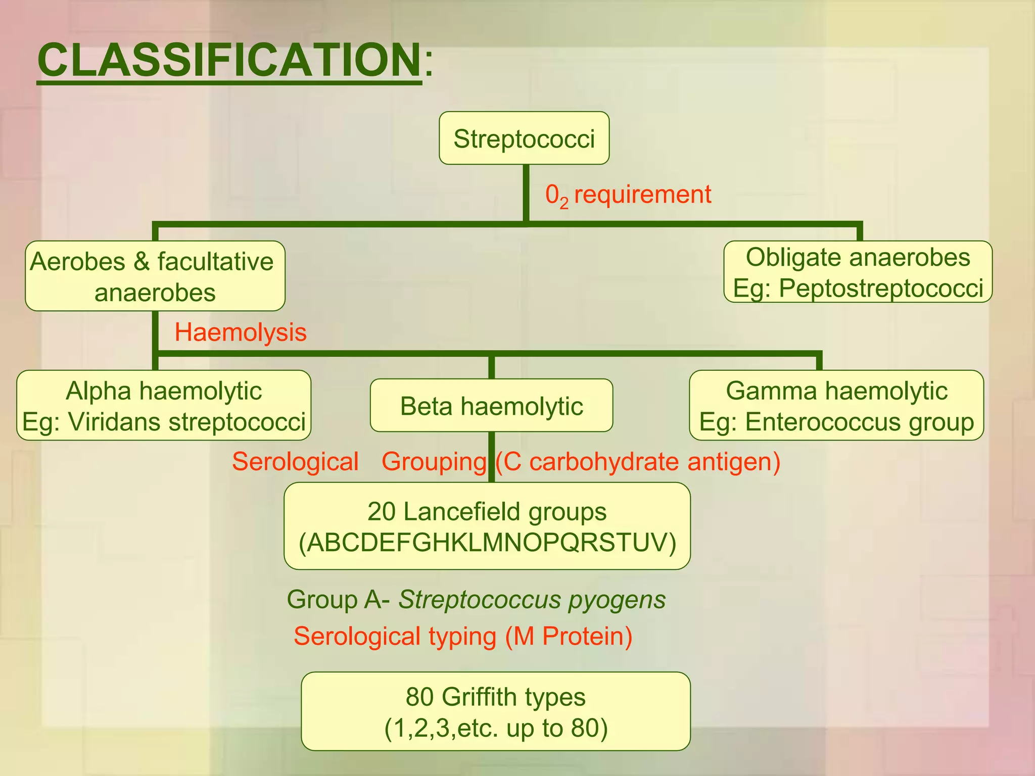 Streptococcus & Enterococcus by Dr. Rakesh Prasad Sah | PPTX