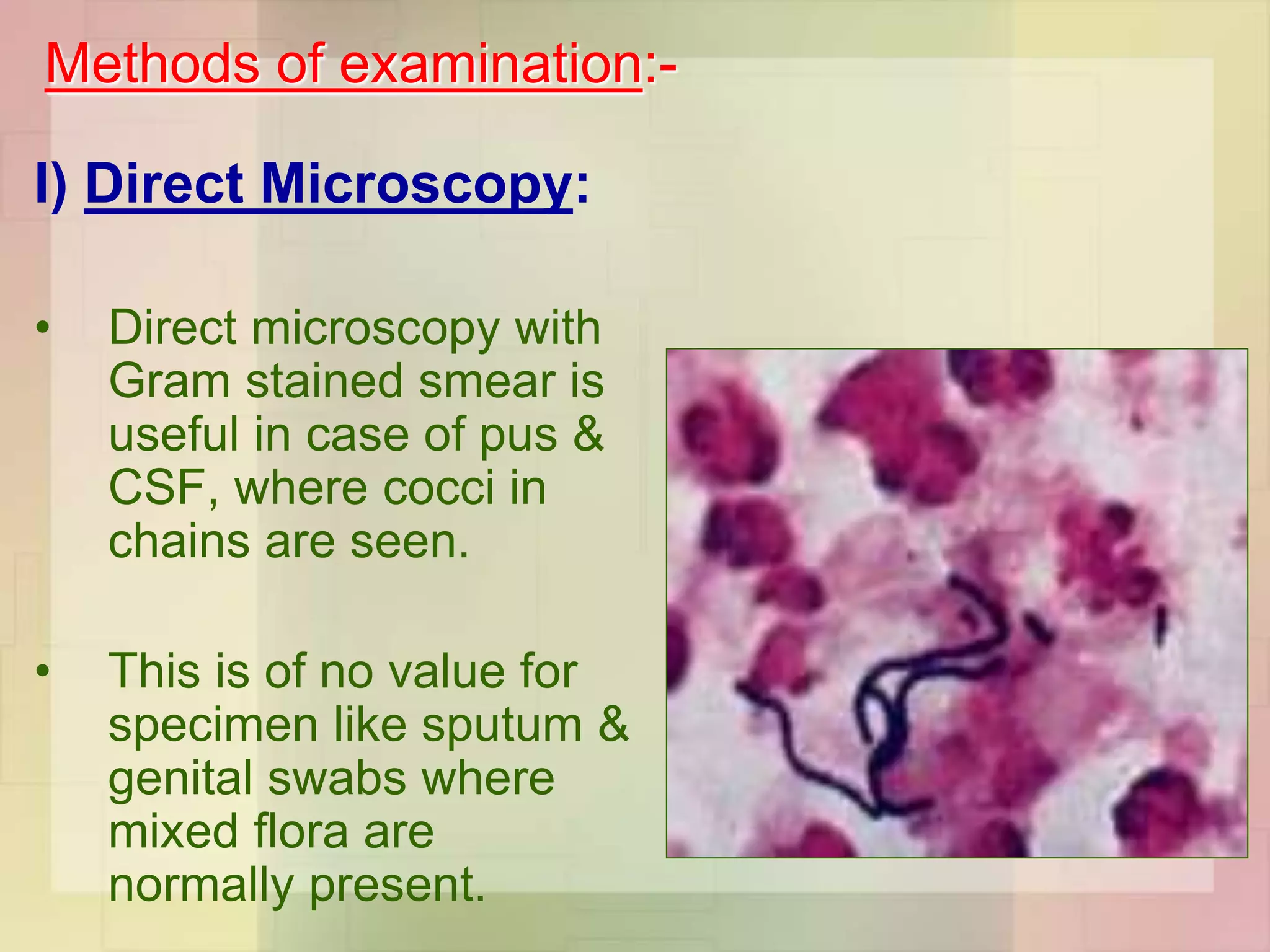 Streptococcus & Enterococcus by Dr. Rakesh Prasad Sah | PPTX