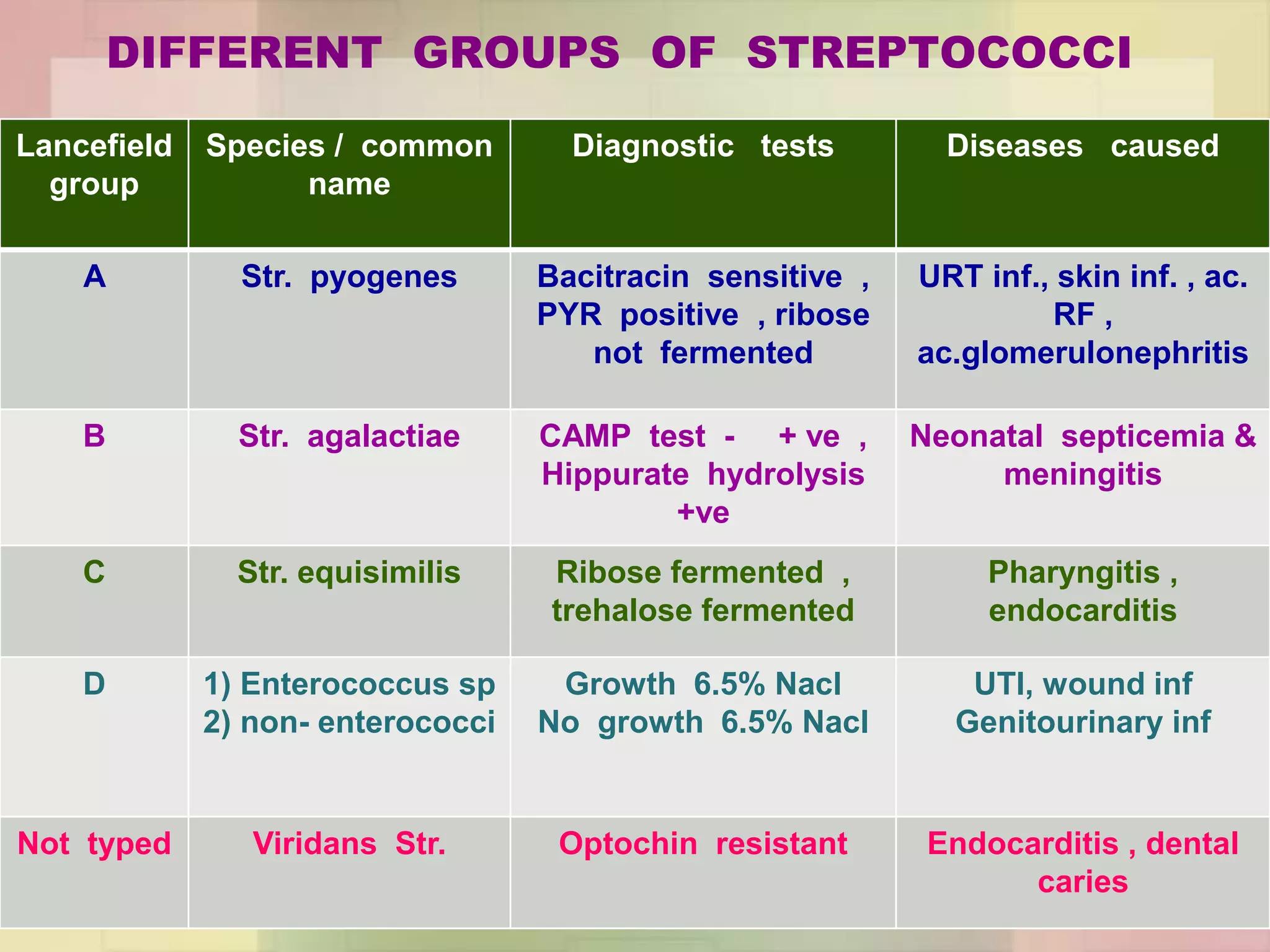 Streptococcus & Enterococcus by Dr. Rakesh Prasad Sah | PPTX