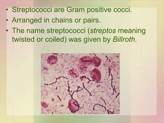 Streptococcus Pyogenes Slide