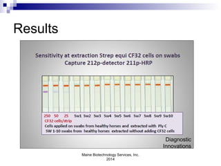 Streptococcus equi field trial data | PPT