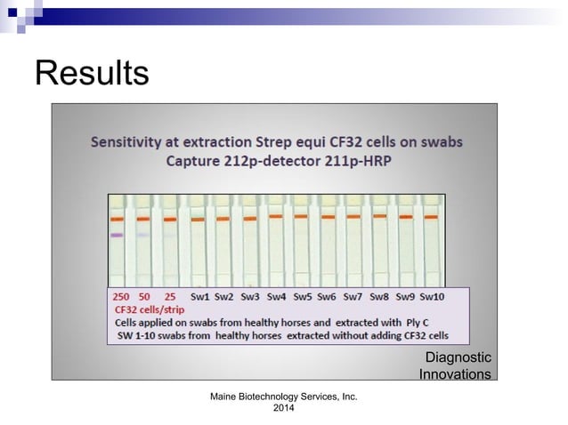 Streptococcus equi field trial data | PPT | Ear, Nose and Throat ...