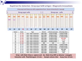 Streptococcus equi field trial data | PPT