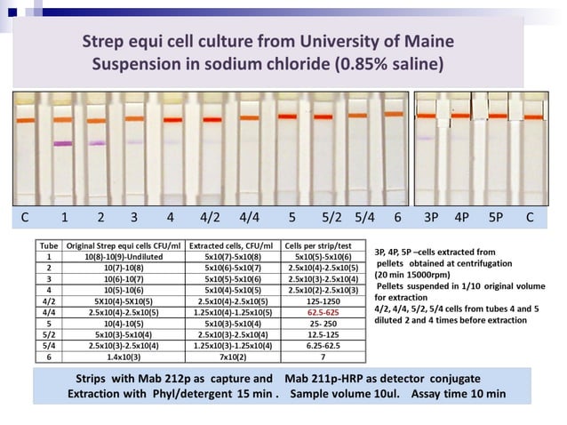 Streptococcus equi field trial data | PPT | Ear, Nose and Throat ...