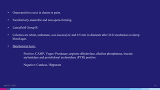 Streptococcus haliocheri | PPTX