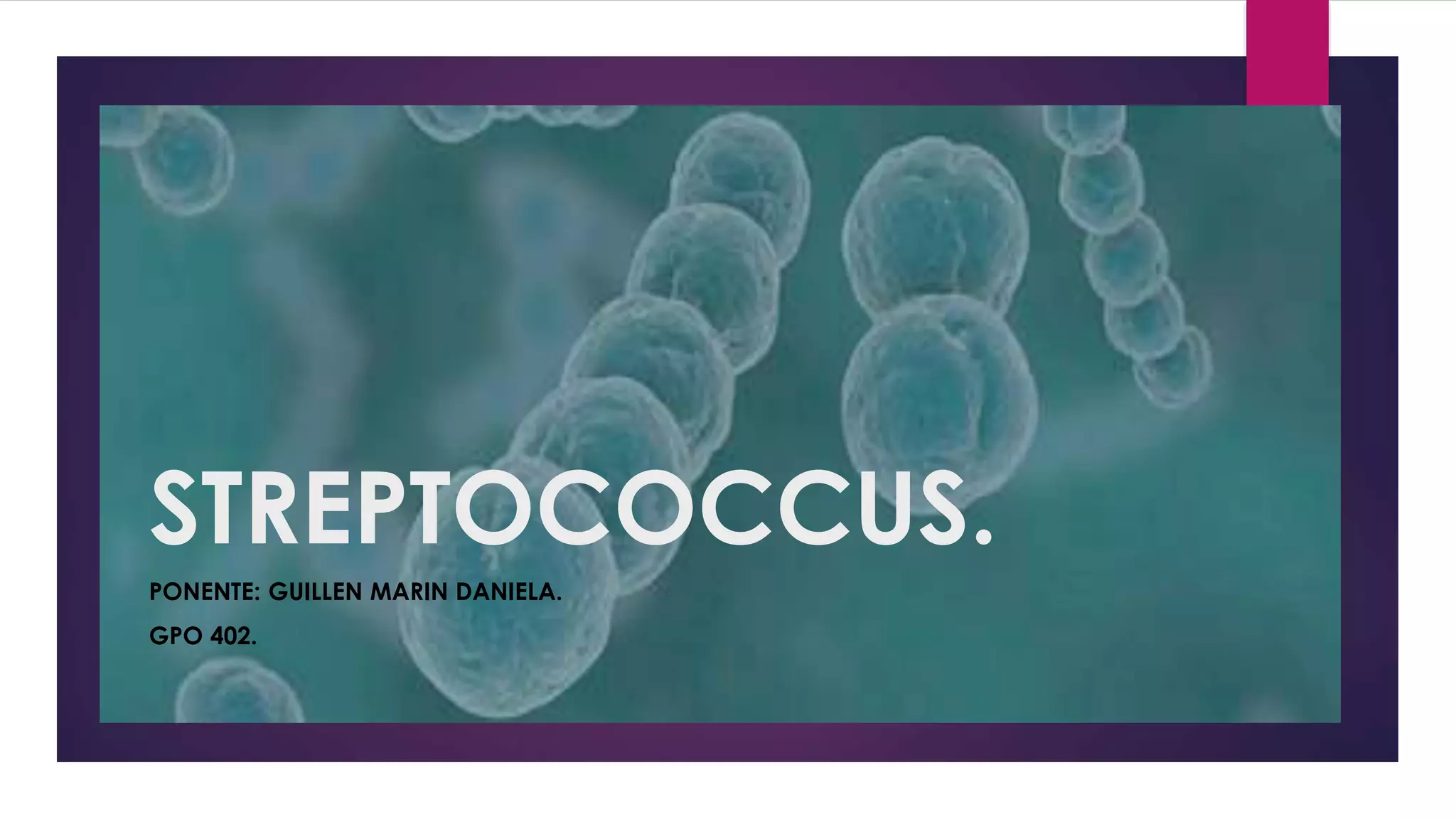 Streptococcus microbiología II | PPTX