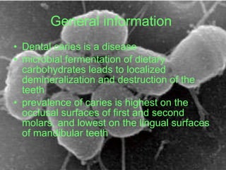 Streptococcus mutans cell | PPT