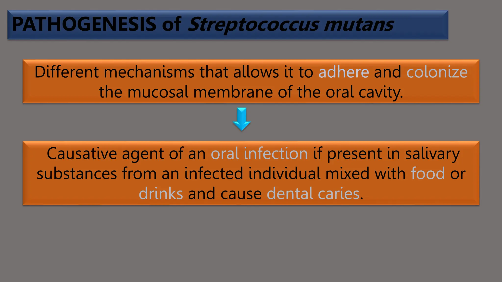 Streptococcus mutans of bacteria causes the dental plaque in mouth.pptx