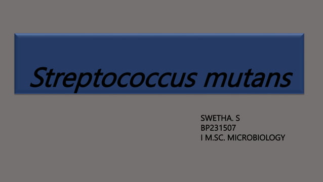 Streptococcus mutans of bacteria causes the dental plaque in mouth.pptx