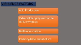 Streptococcus mutans of bacteria causes the dental plaque in mouth.pptx