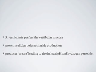 Streptococcus mutans & other streptococci | PDF