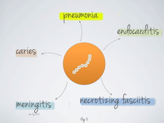 Streptococcus mutans & other streptococci | PDF