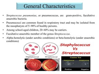 Streptococcus pneumoniae | PPTX