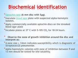 Streptococcus pneumonia | PPTX