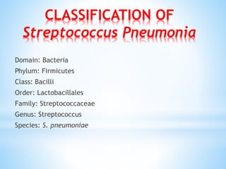 Streptococcus pneumonia | PPTX