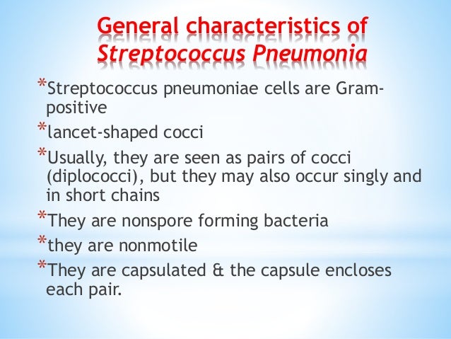 Streptococcus pneumonia