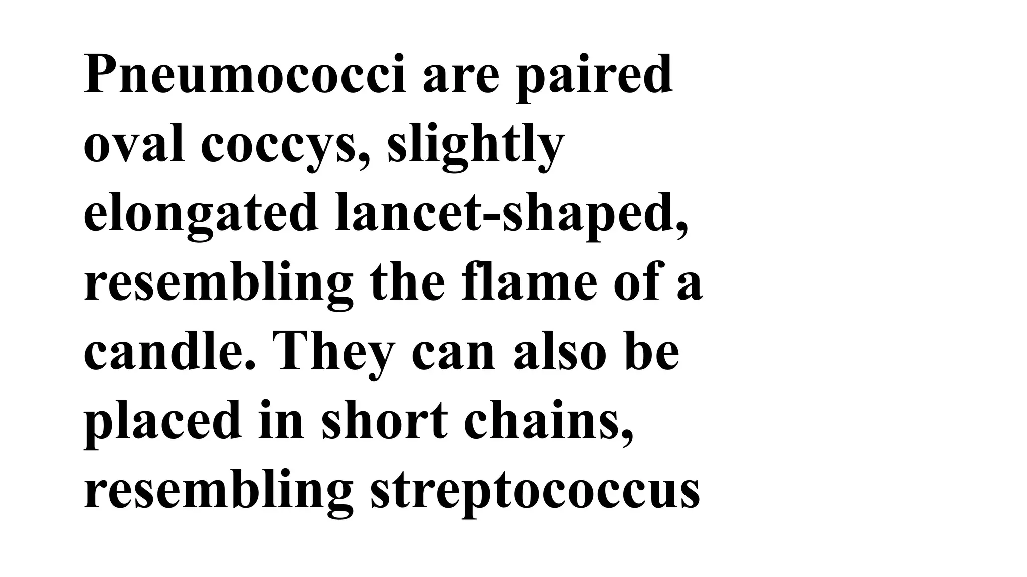 Streptococcus pneumonia | PPTX