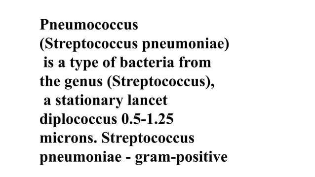 Streptococcus pneumonia | PPT